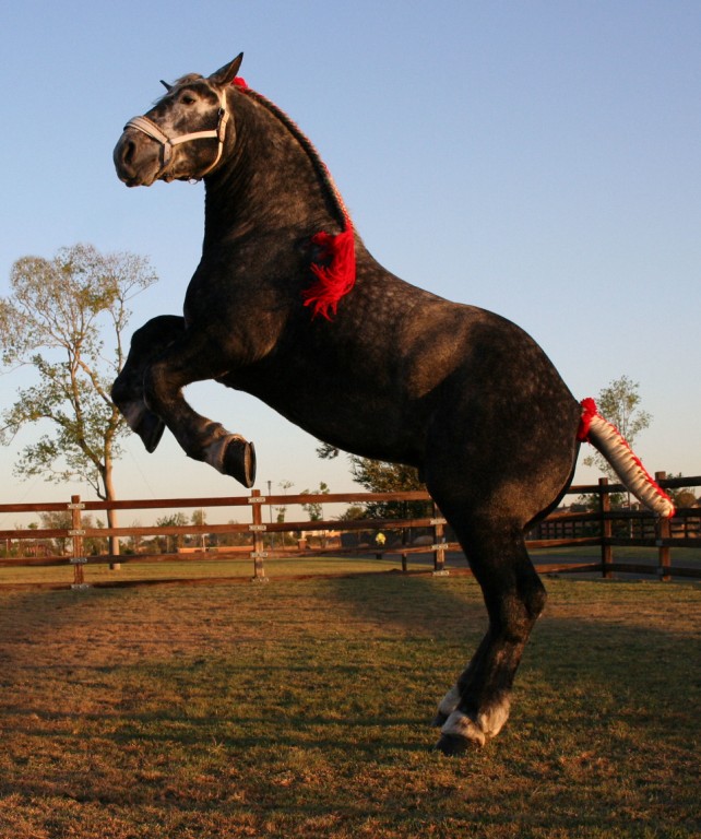 Des nouvelles de Sympa - Actualités